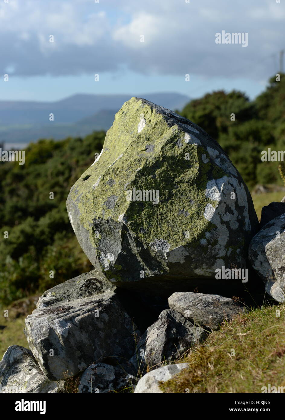 a large boulder sculpted by ice and wind and painted with lichen on the ...