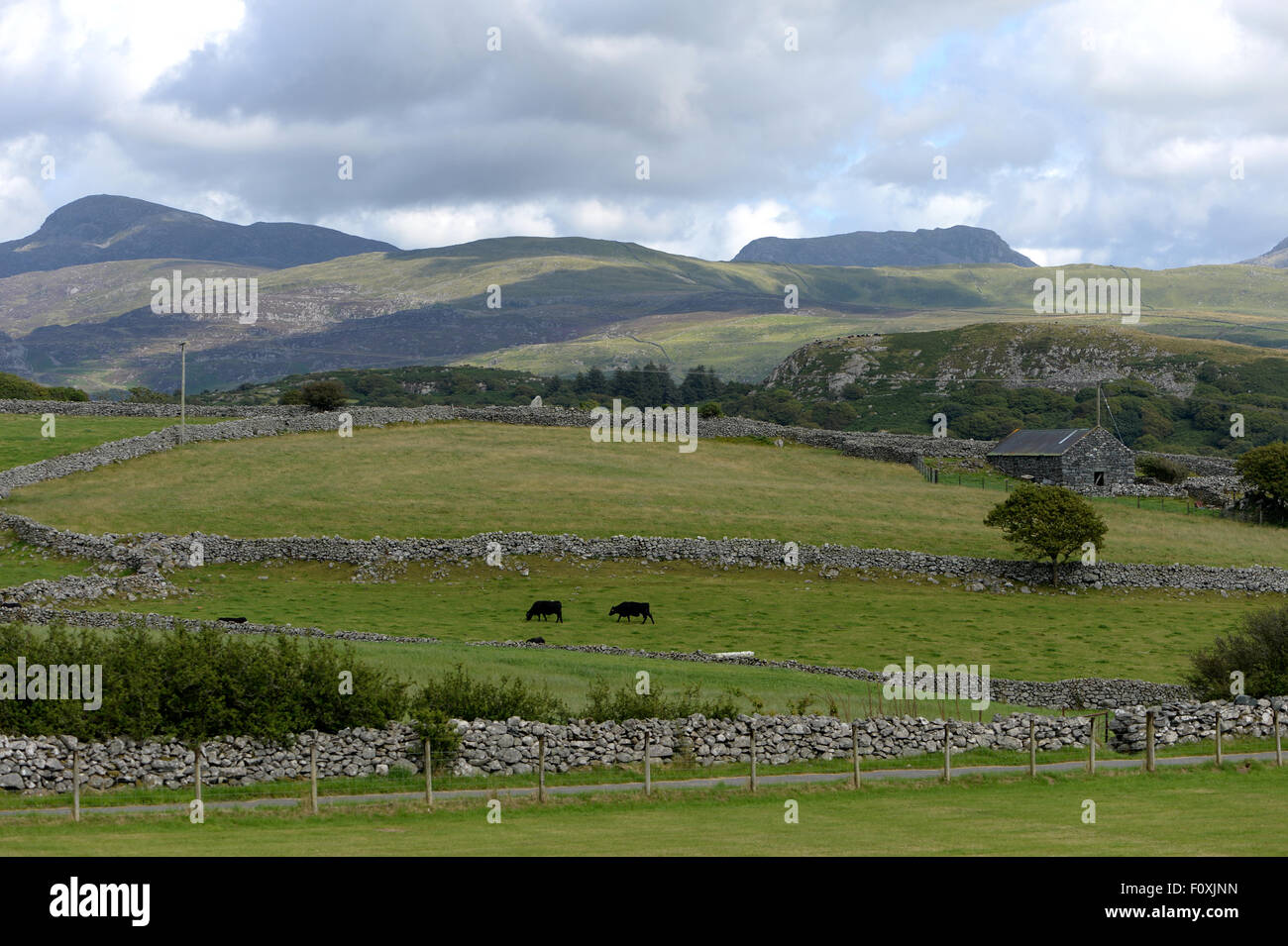 The Rhinogydd mountains of Snowdonia from Llanfair Stock Photo - Alamy