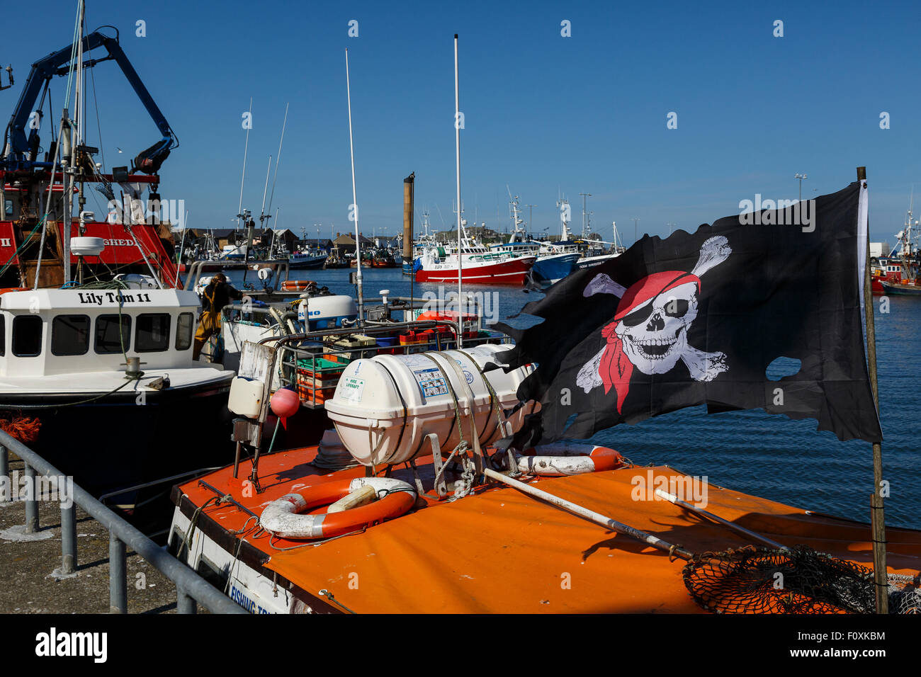 Flag pirate, boat in harbour, Howth, Ireland, Europe Stock Photo - Alamy