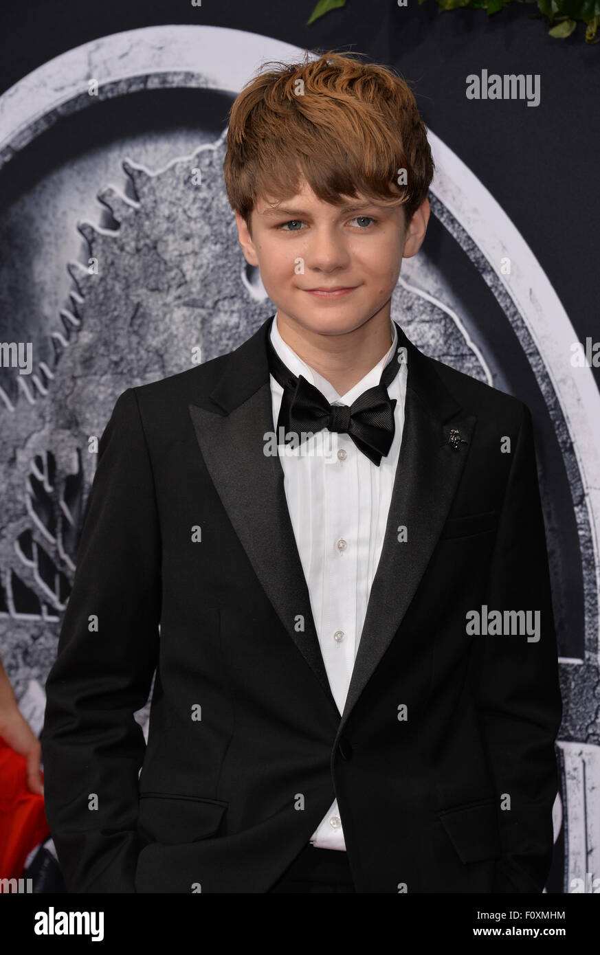 LOS ANGELES, CA - JUNE 10, 2015: Actor Ty Simpkins at the world ...