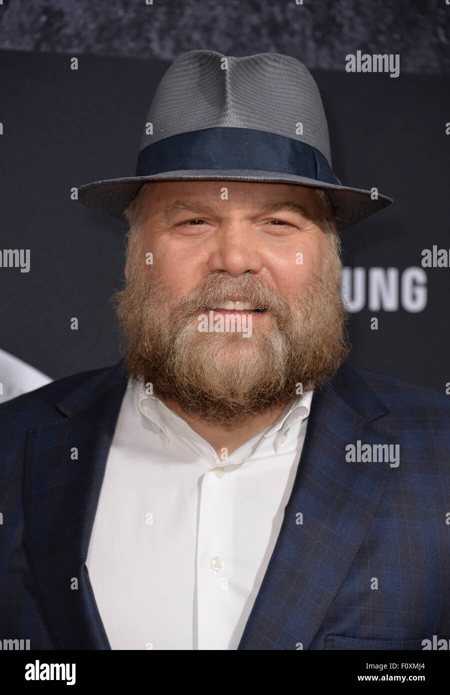 Vincent d'onofrio actor hi-res stock photography and images - Alamy