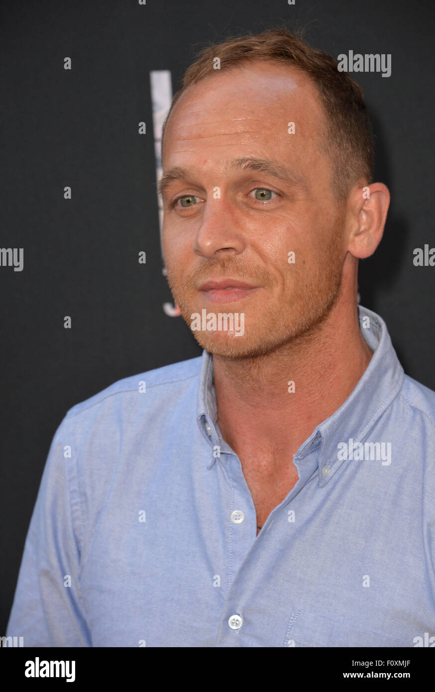 LOS ANGELES, CA - JUNE 11, 2015: Ethan Embry at the premiere of ...