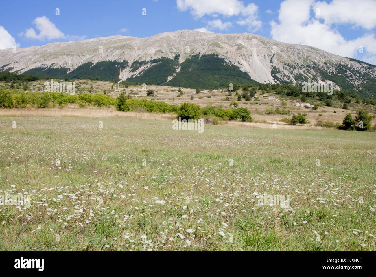 Campo di giove hi-res stock photography and images - Alamy