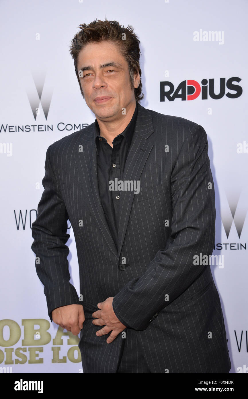 LOS ANGELES, CA - JUNE 22, 2015: Actor Benicio Del Toro at the Los ...