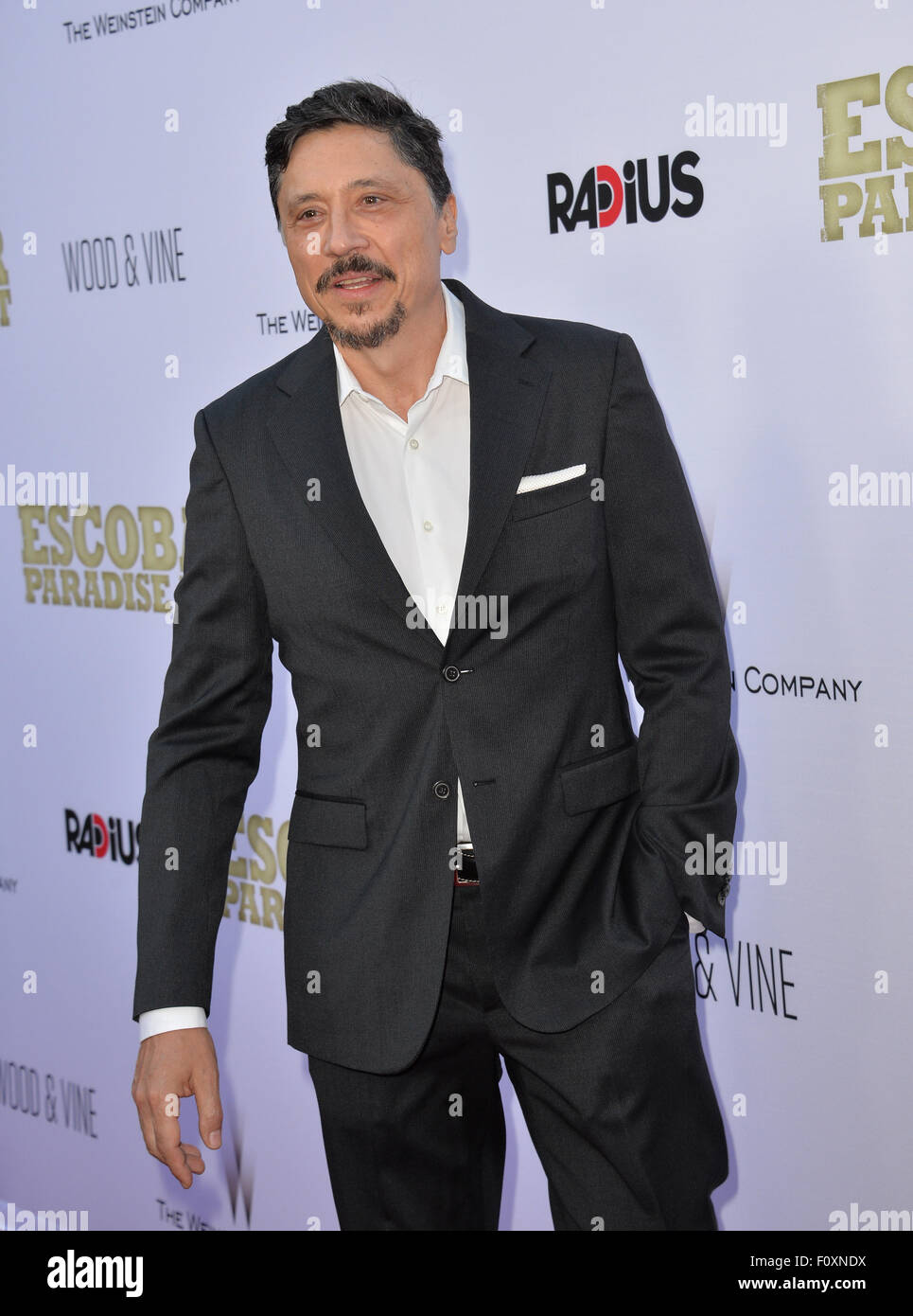 LOS ANGELES, CA - JUNE 22, 2015: Actor Carlos Bardem at the Los Angeles ...