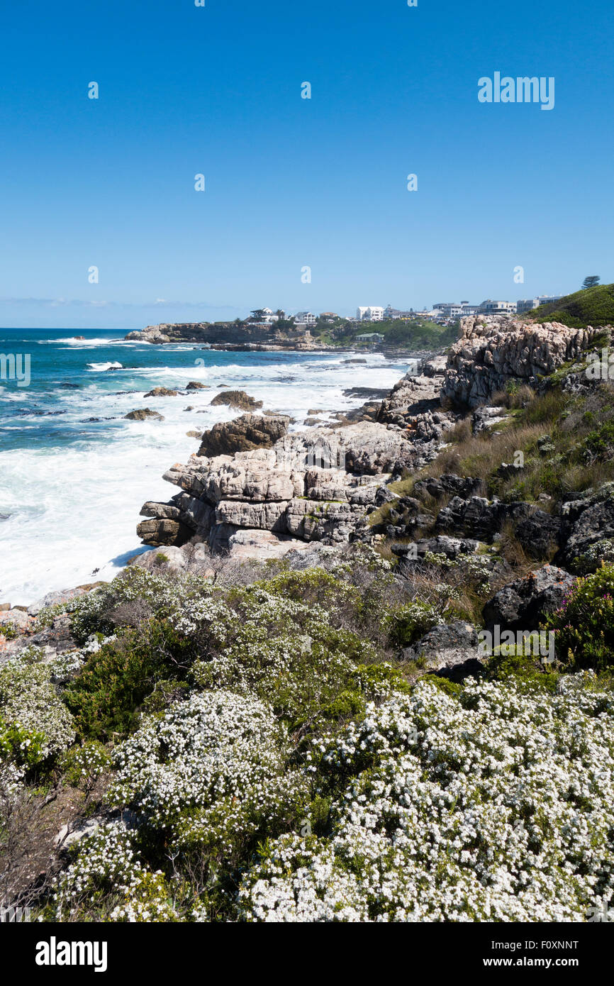 Walker Bay, Hermanus, South Africa Stock Photo - Alamy