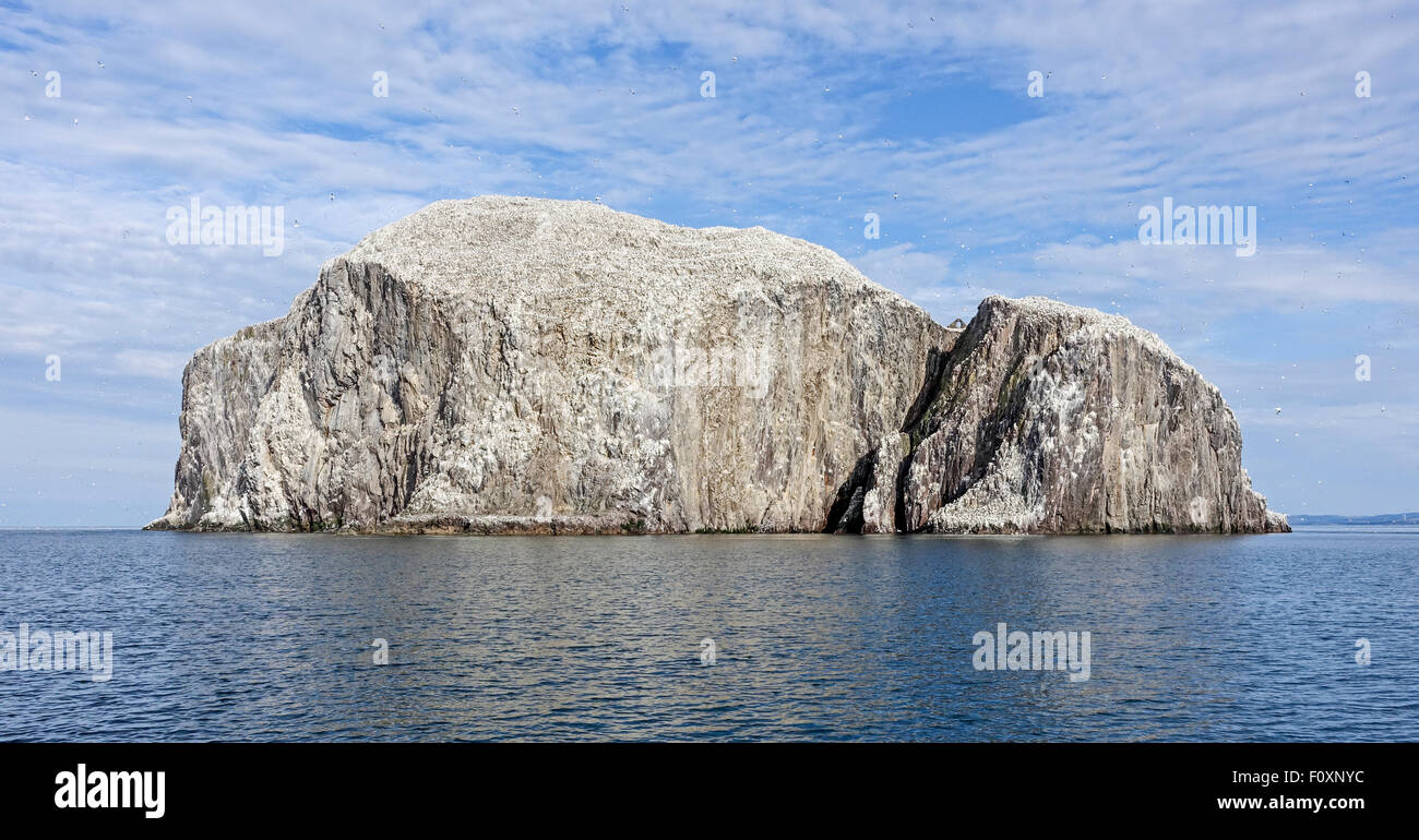 Bass rock hi-res stock photography and images - Alamy