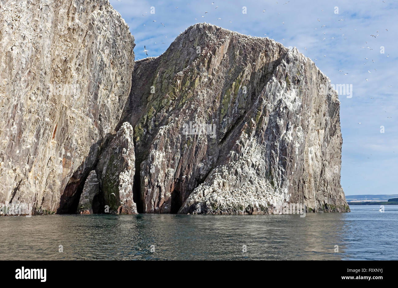 Bass rock scotland hi-res stock photography and images - Alamy