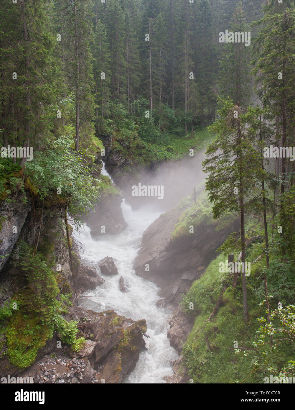 Waterfall in the forest, raging water in Switzerland Stock Photo - Alamy