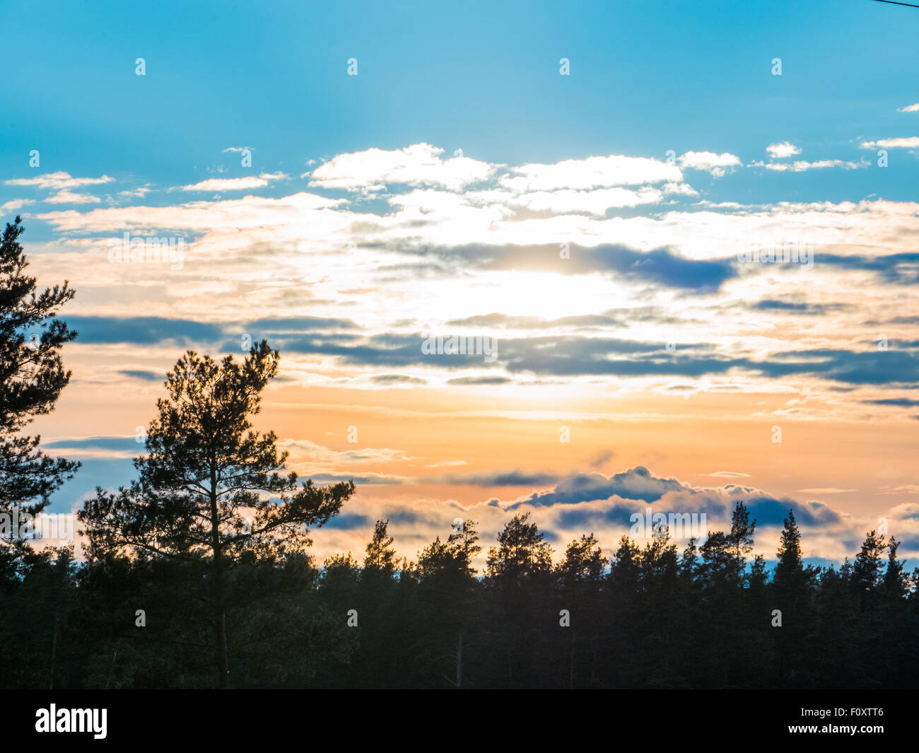 Beautiful autumn forest and clouds at sunset Stock Photo - Alamy