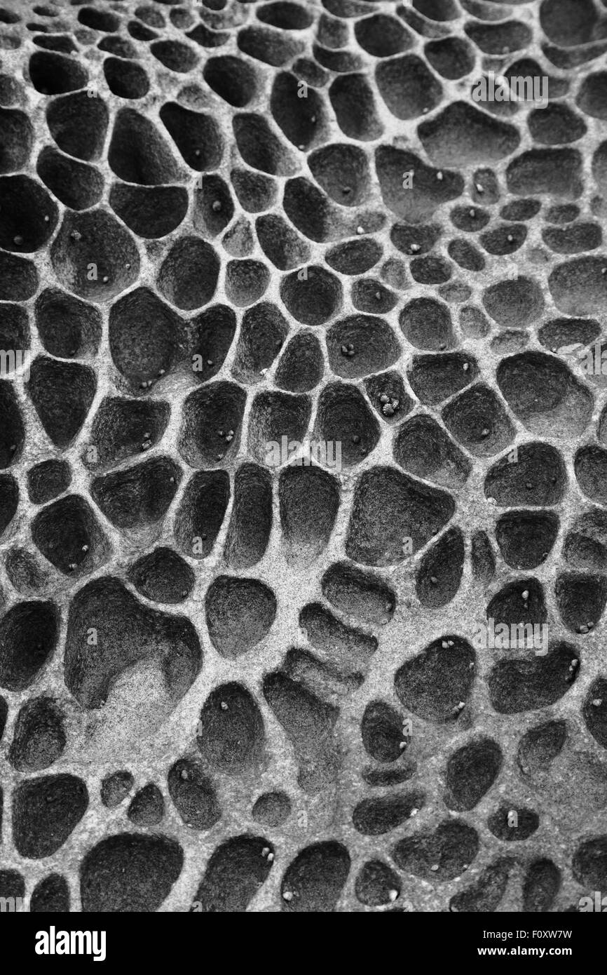 Honeycomb weathering hi-res stock photography and images - Alamy