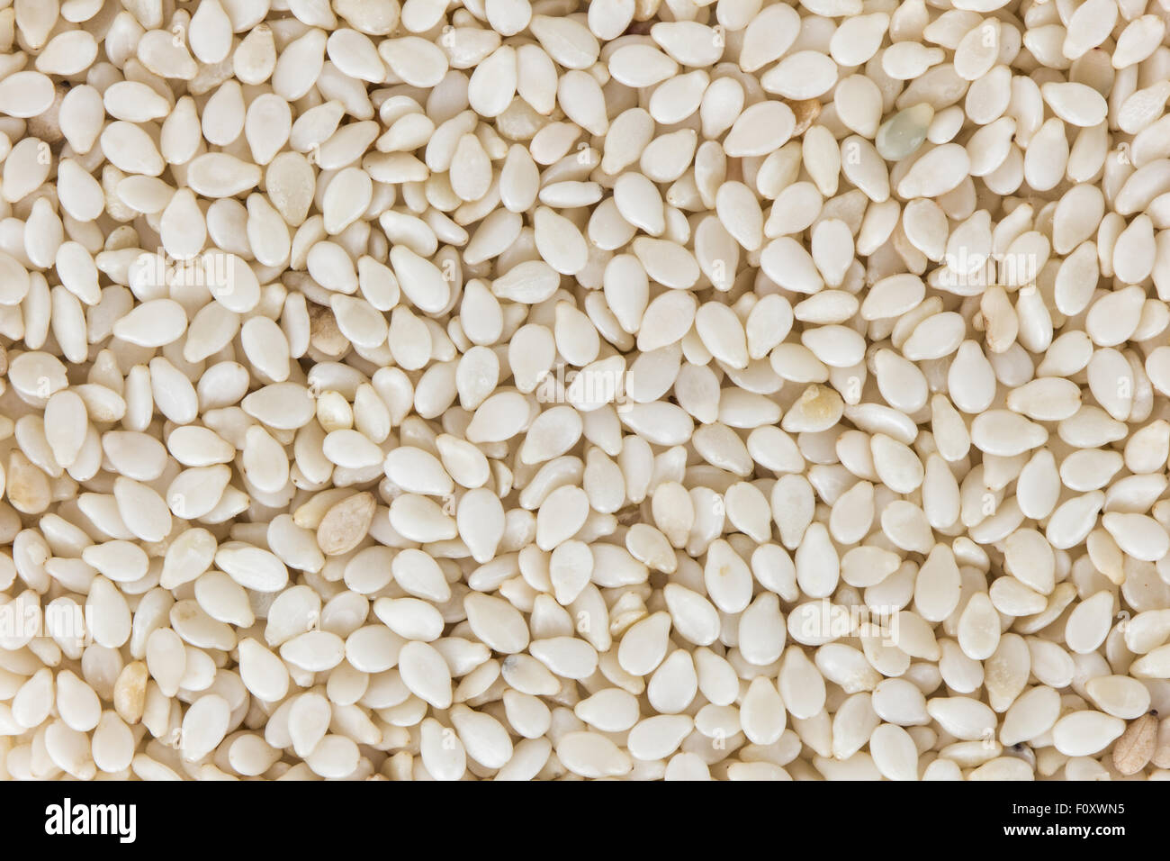 Background of sesame seeds with no shell, viewed from above Stock Photo ...