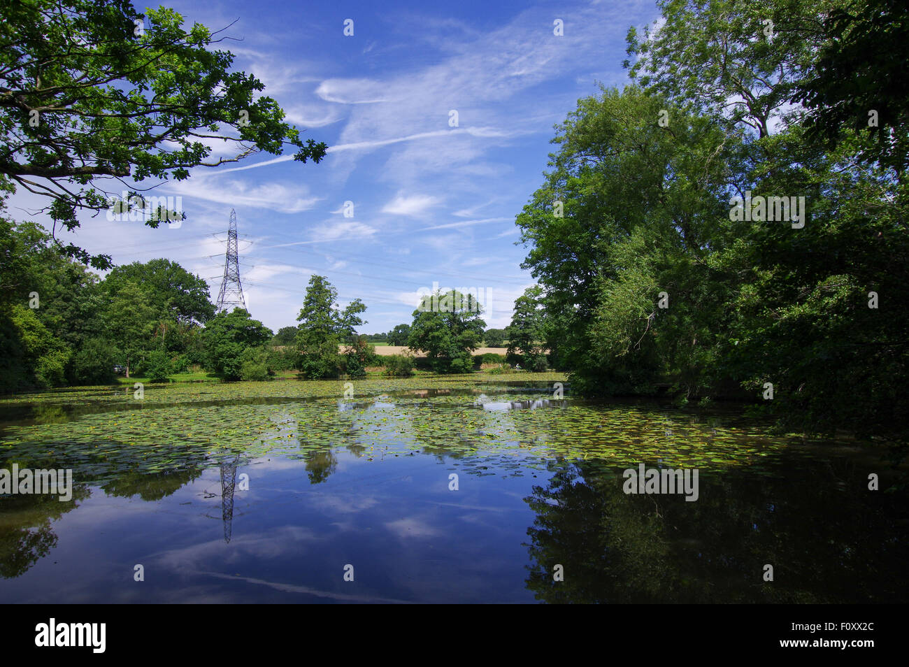 Valebridge pond in Bedelands Nature Reserve, West Sussex Stock Photo ...