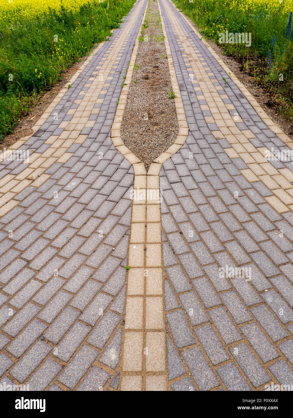 Lawn yellow brick road hi-res stock photography and images - Alamy
