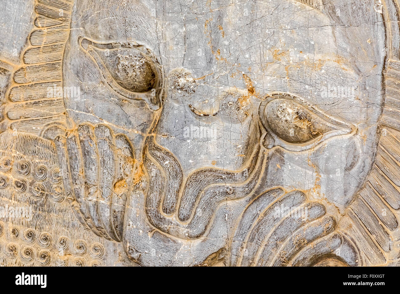 Lion relief detail Persepolis Stock Photo - Alamy