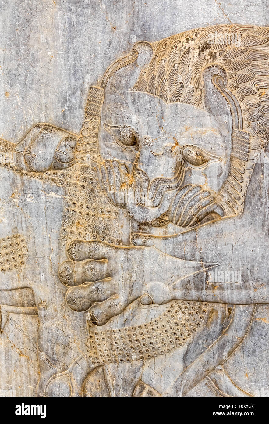 Lion relief detail Persepolis Stock Photo - Alamy