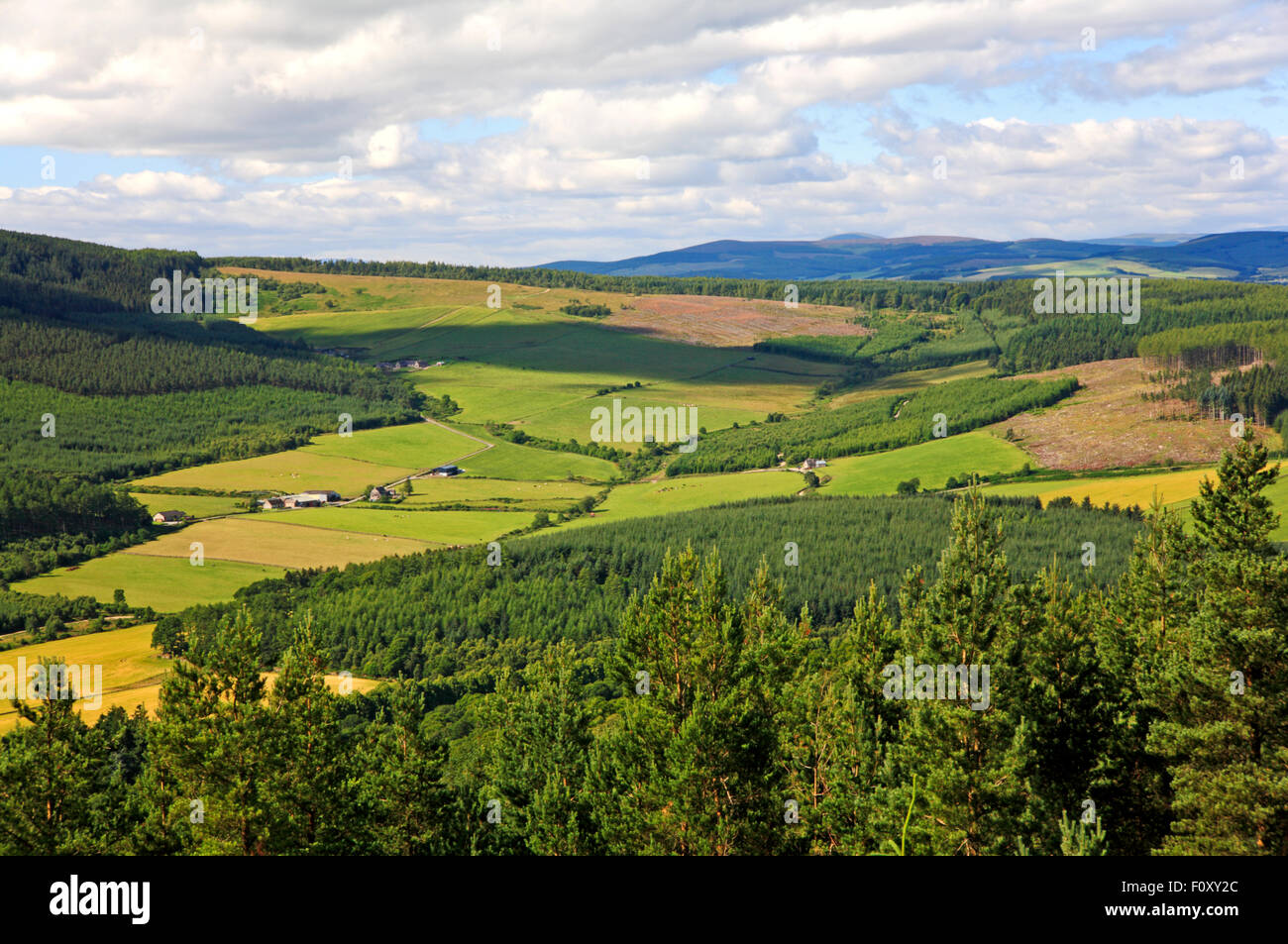 A patchwork landscape viewed from Millstone Hill at Bennachie ...