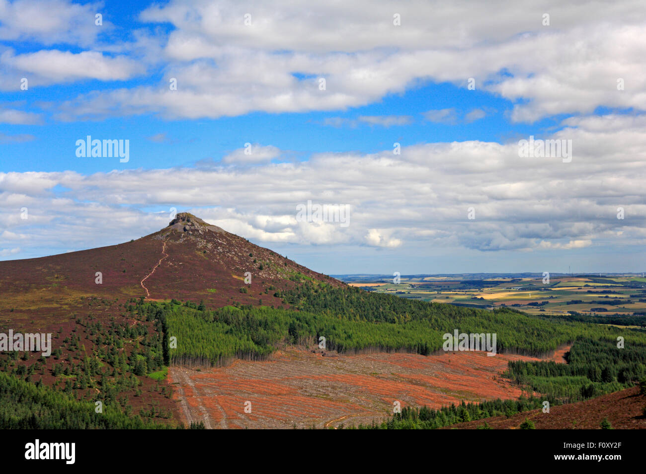 A view of Mither Tap from Millstone Hill in Bennachie, Aberdeenshire ...