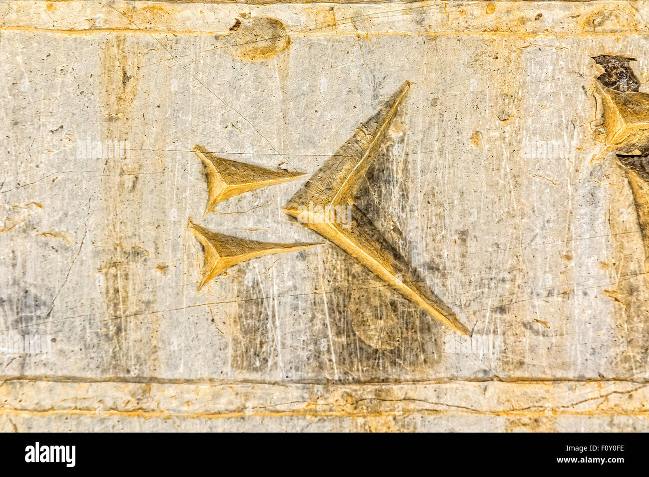 Old Persian Cuneiform High Resolution Stock Photography and Images - Alamy