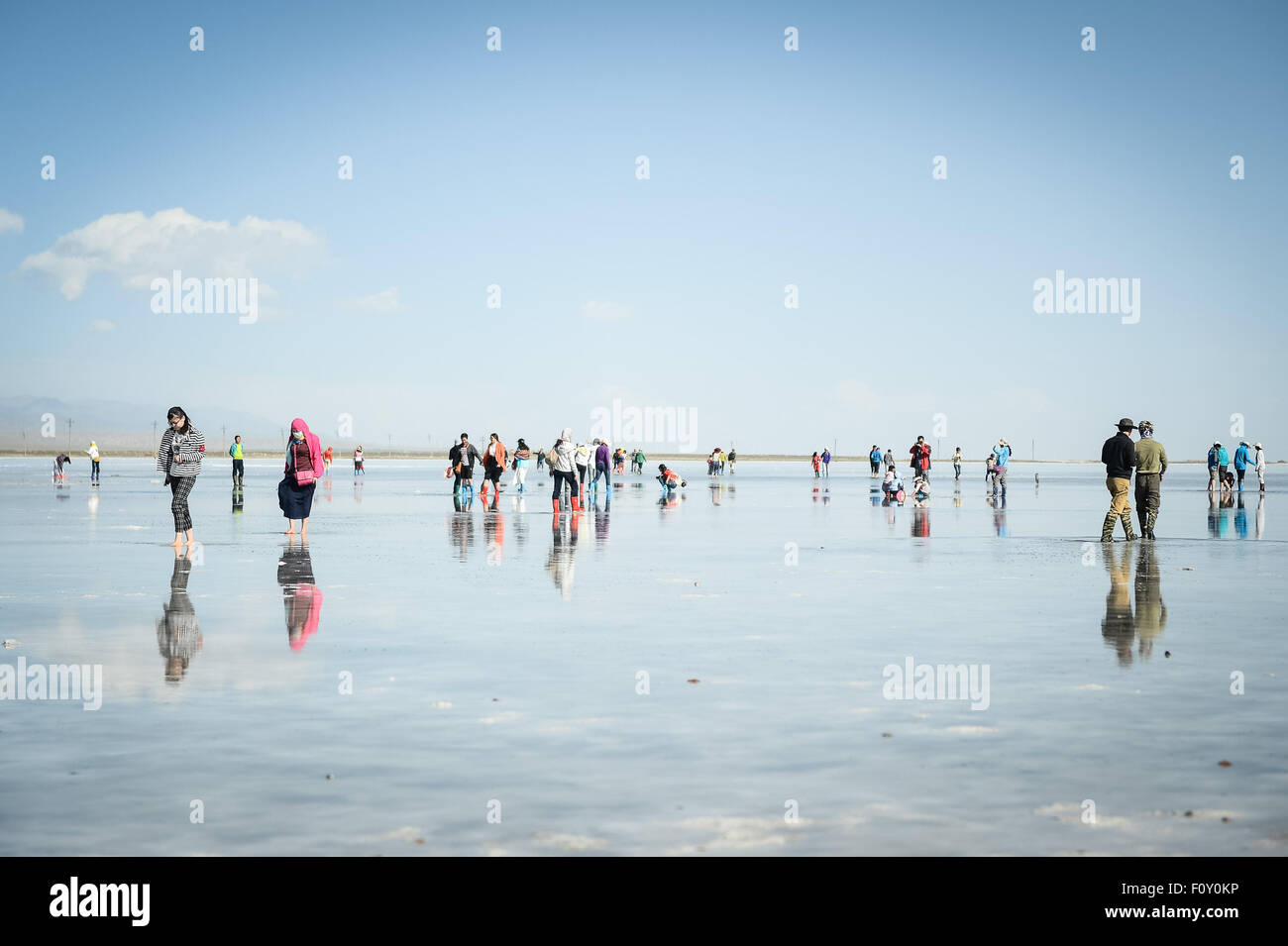 Can live over 100 years hi-res stock photography and images - Alamy