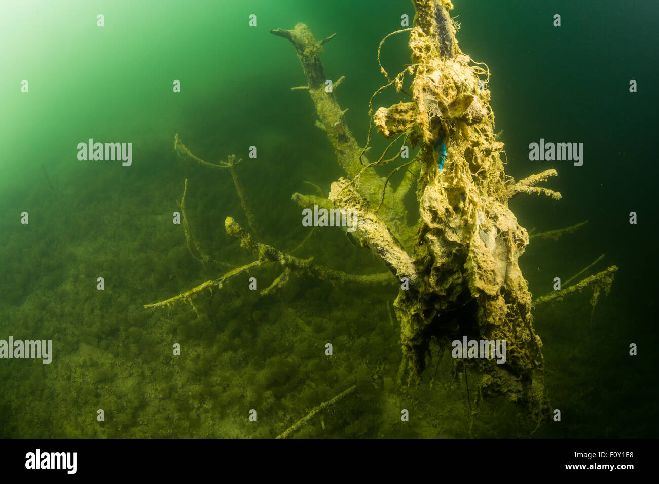 Underwater river hi-res stock photography and images - Alamy