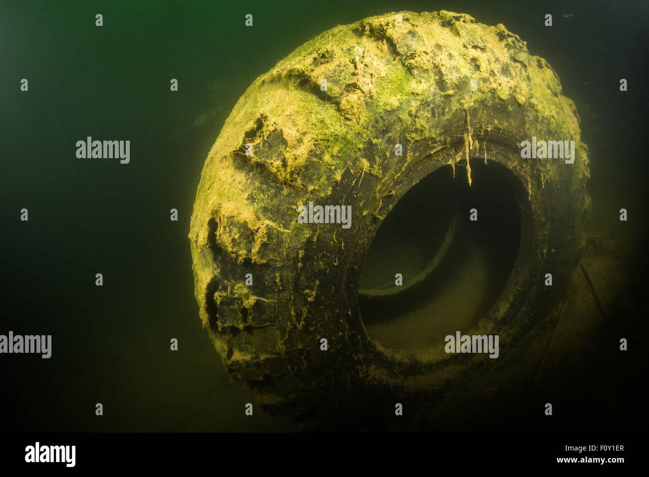 Underwater river hi-res stock photography and images - Alamy