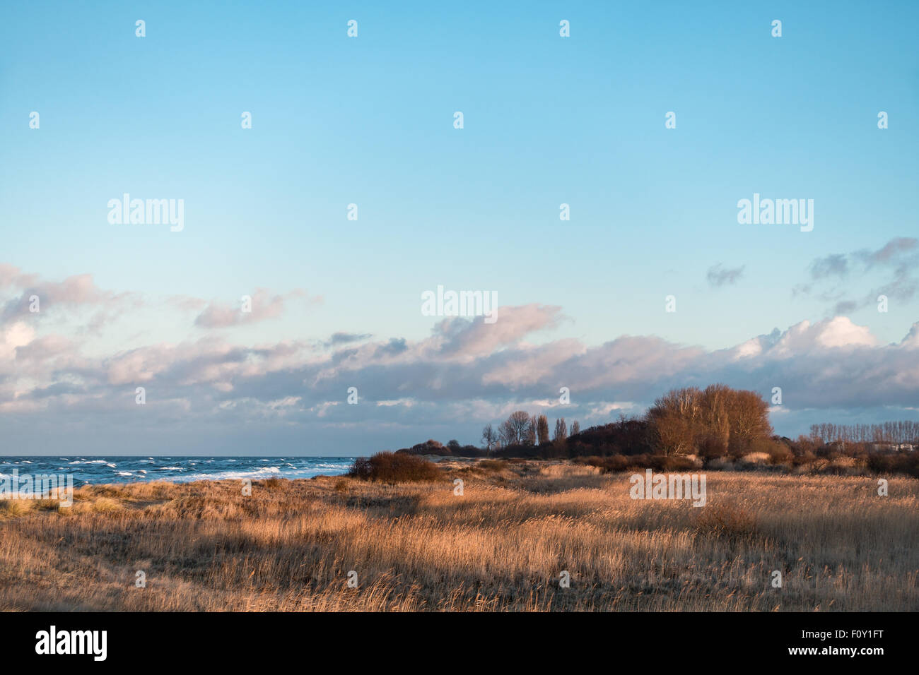 View to the Baltic Sea coast Stock Photo - Alamy