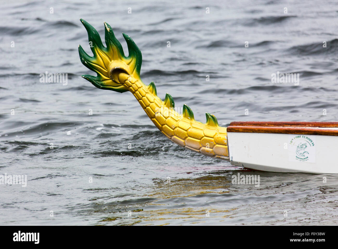 tail of Dragon, Dragon boat race Llys-y-Fran reservoir Pembrokeshire ...