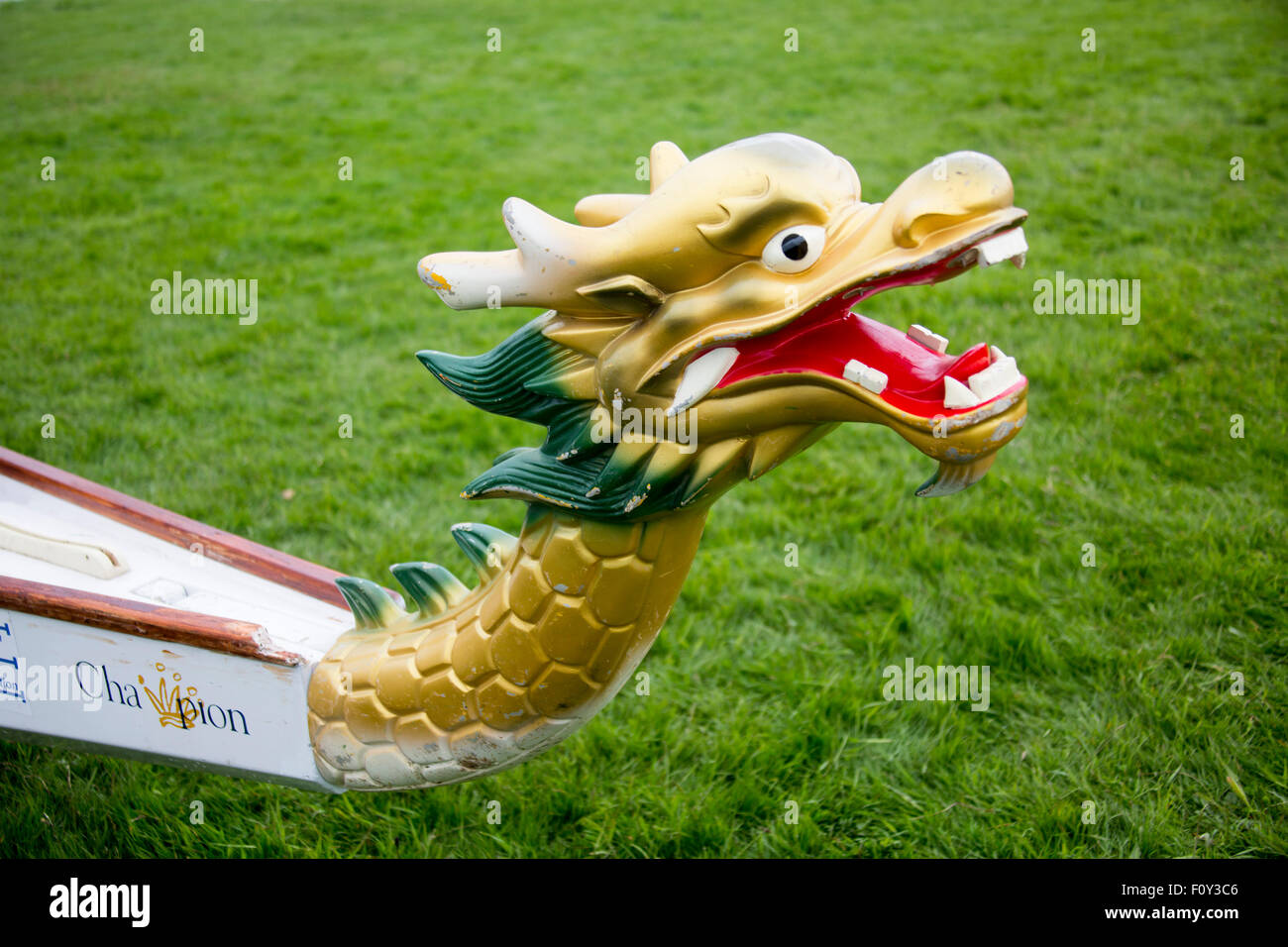 Head of Dragon, Dragon boat race Llys-y-Fran reservoir Pembrokeshire ...