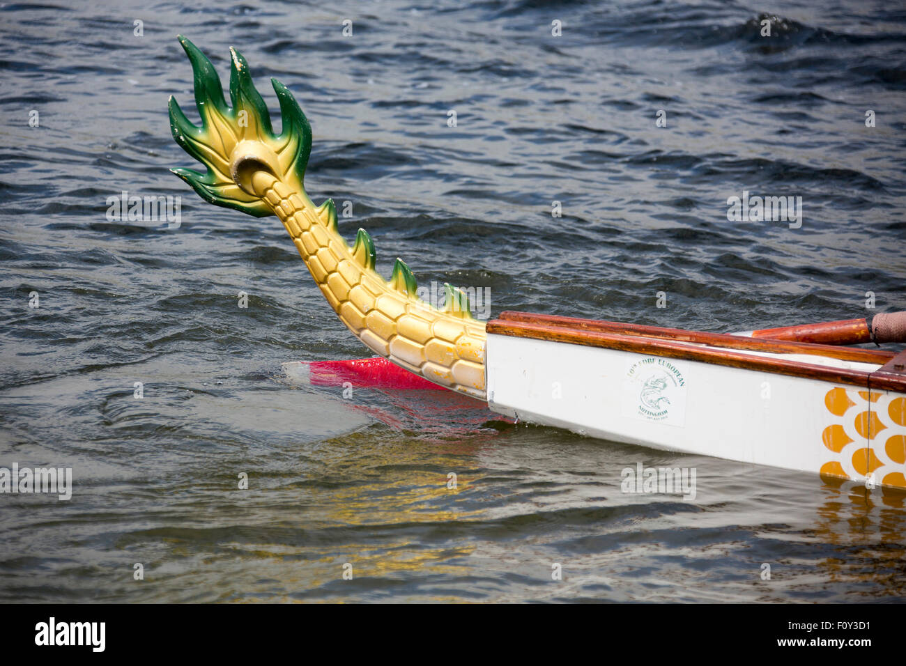 Tail of Dragon, Dragon boat race Llys-y-Fran reservoir Pembrokeshire ...
