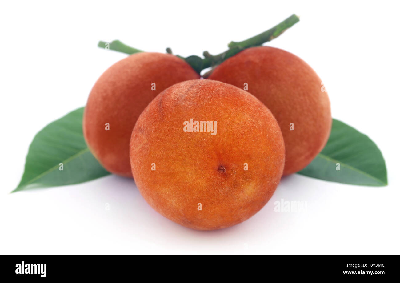 Velvet fruit hi-res stock photography and images - Alamy