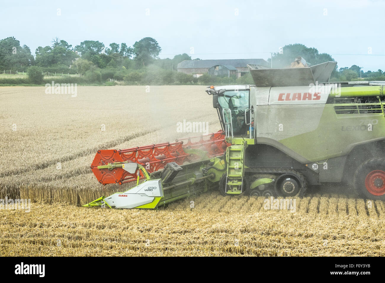 Combine harvester harvesting hi-res stock photography and images - Alamy