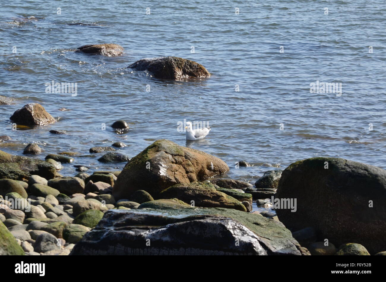 Floating stones hi-res stock photography and images - Alamy
