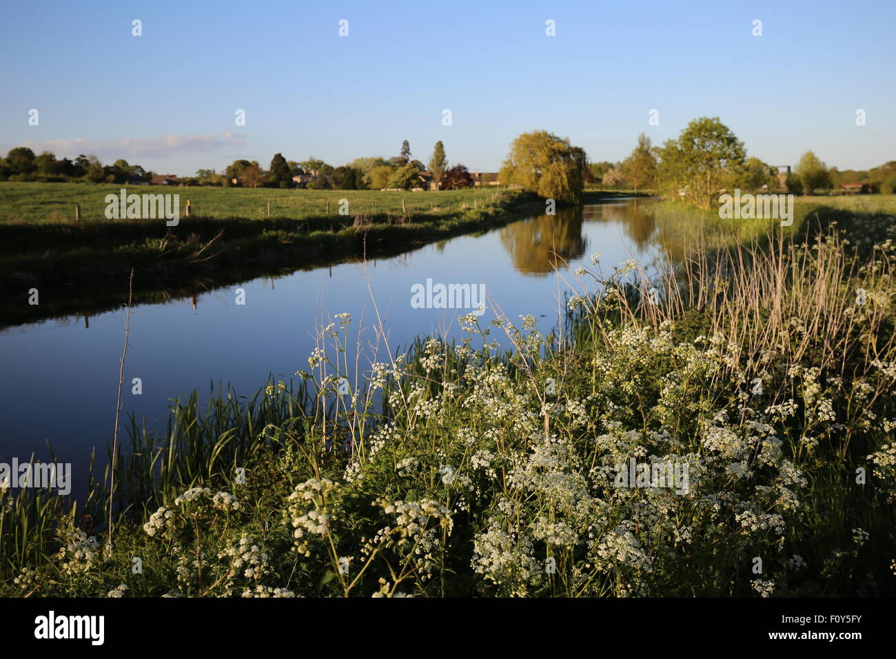 River Nene, Oundle, Northamptonshire Stock Photo - Alamy
