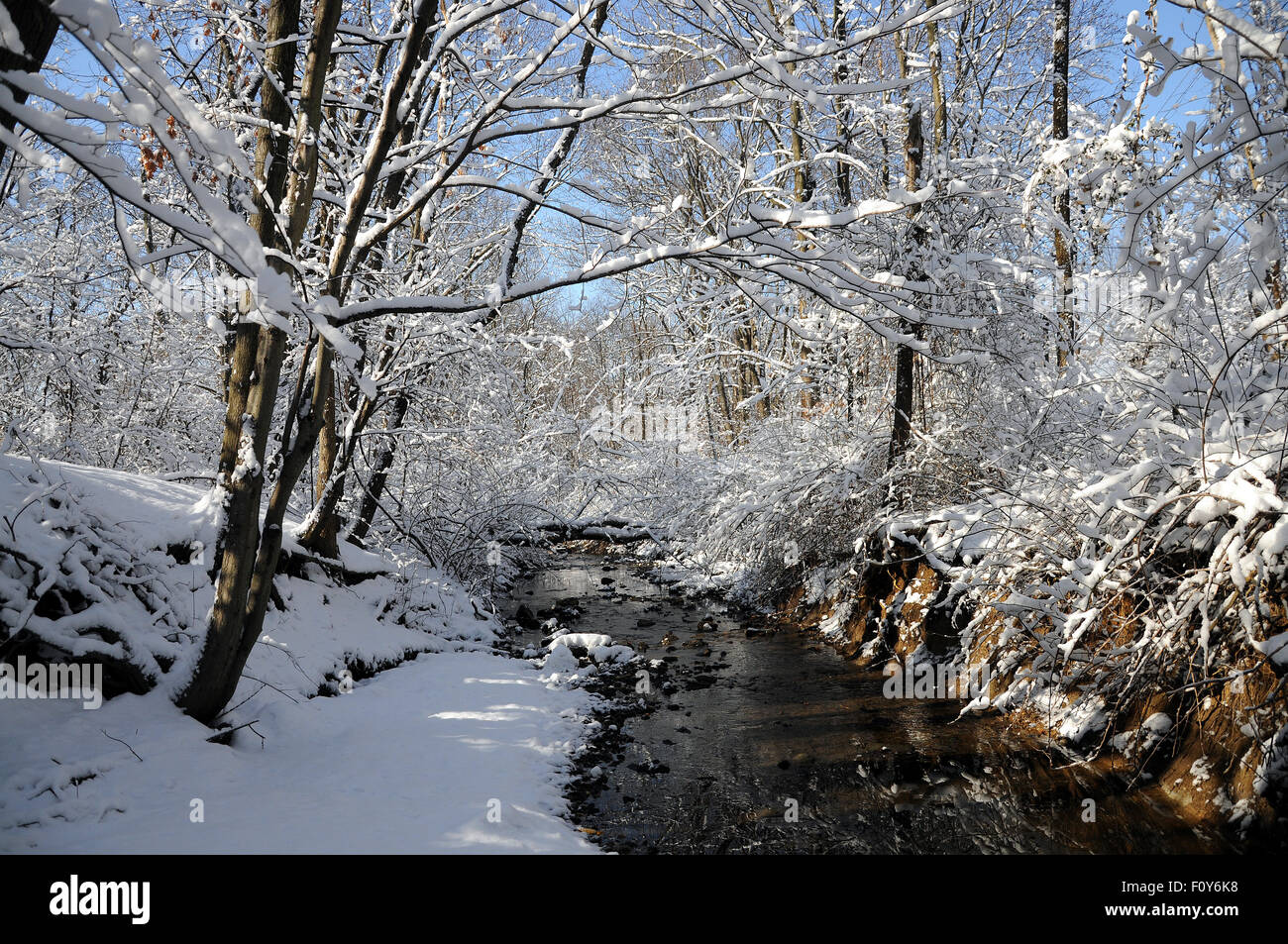 Stream winter hi-res stock photography and images - Alamy