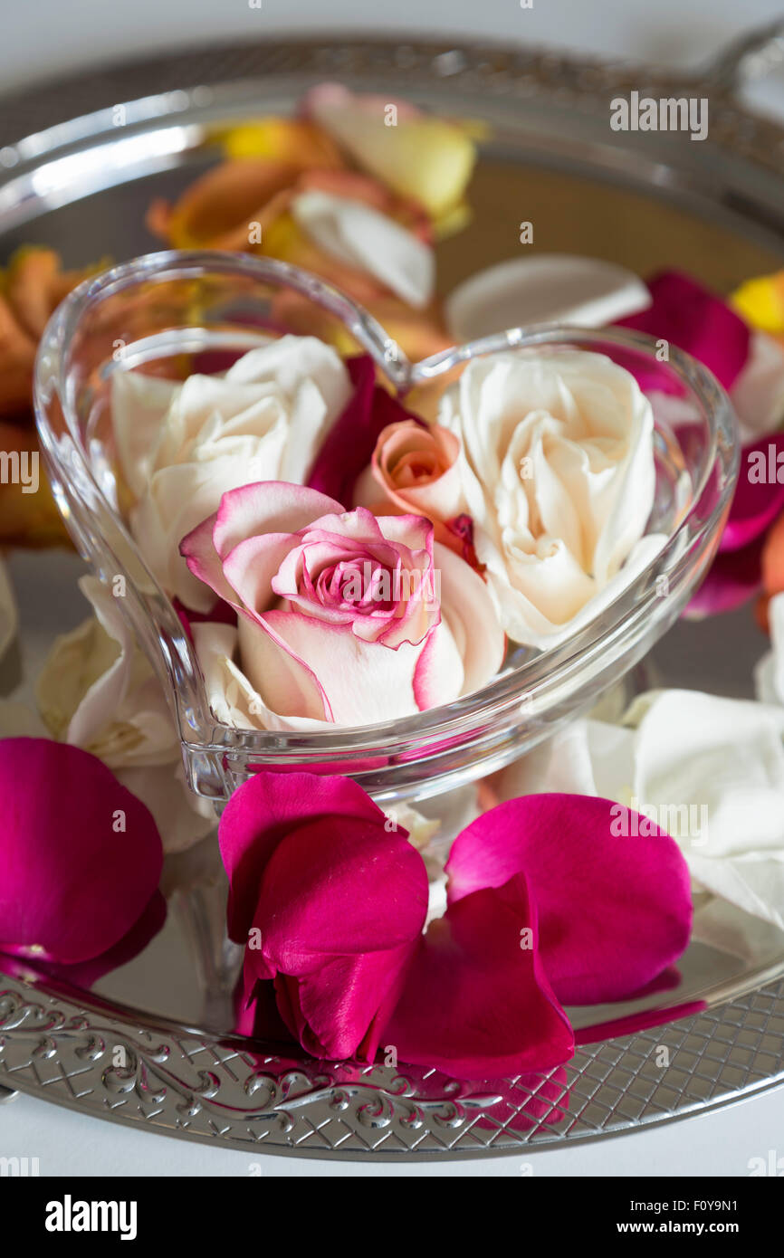 Romantic Roses and Rose Petals Stock Photo - Alamy