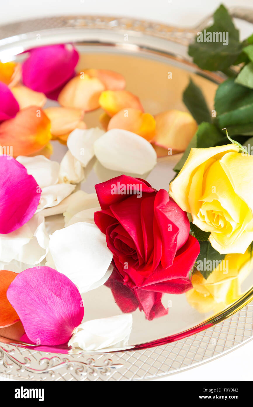 Romantic Roses and Rose Petals Stock Photo - Alamy