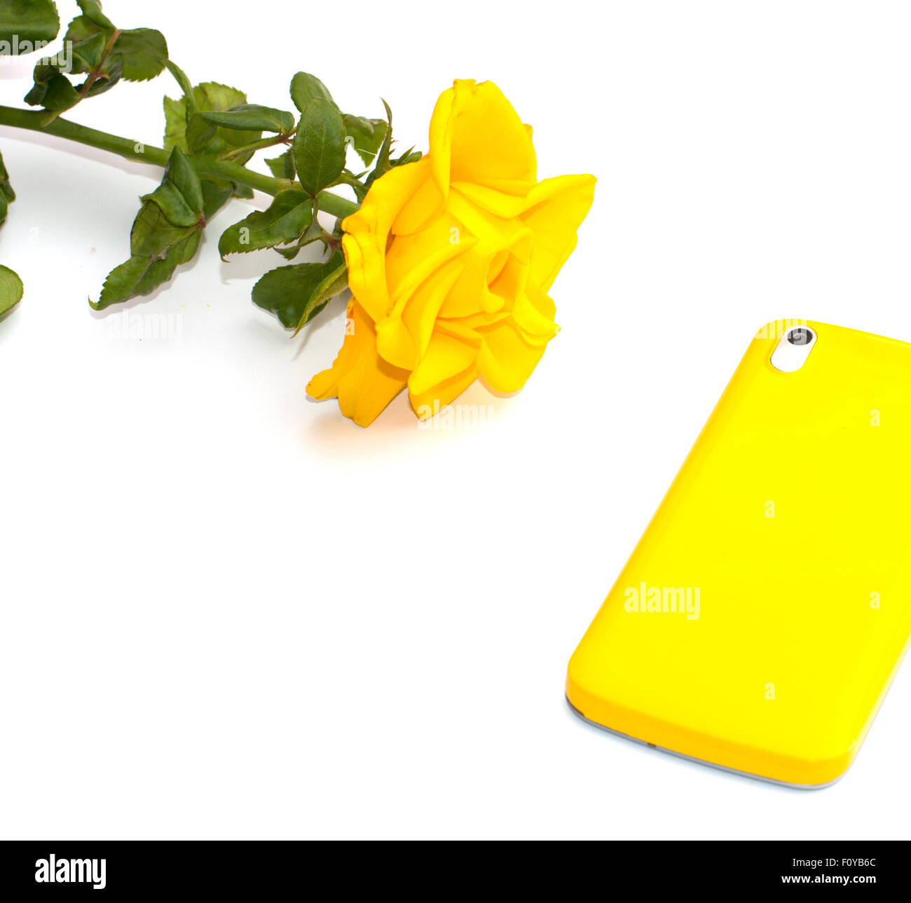 yellow rose and beautiful phone Stock Photo - Alamy