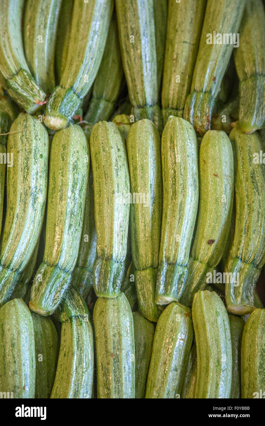 Zucchini on the market Stock Photo - Alamy