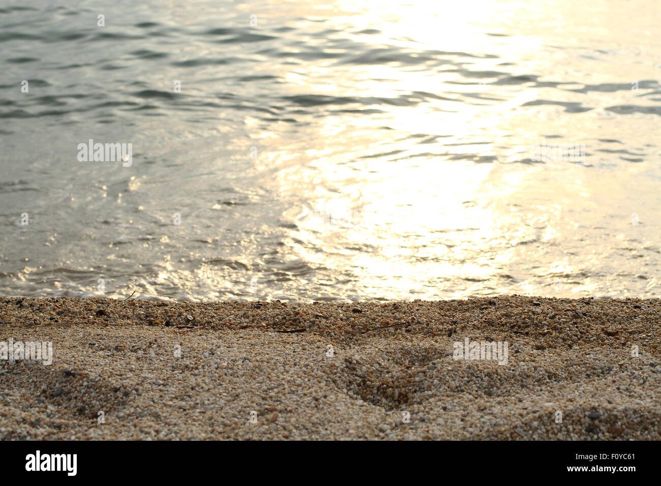 Shingle texture hi-res stock photography and images - Alamy