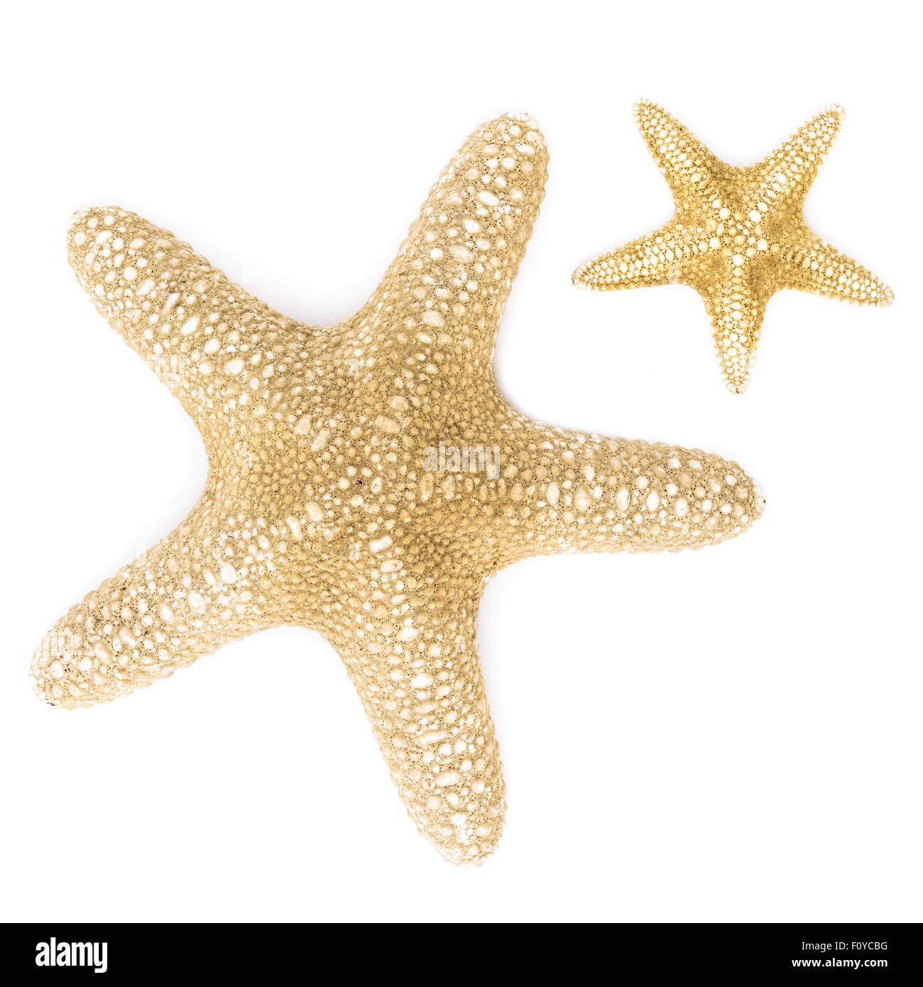 Regulus Star High Resolution Stock Photography and Images - Alamy