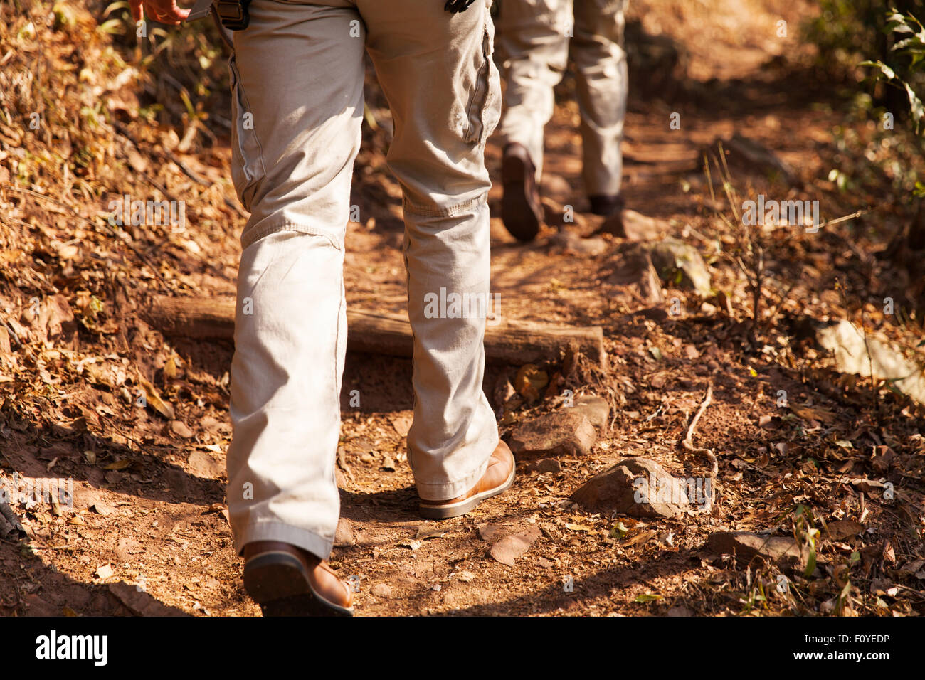 hikers walking in forest path Stock Photo - Alamy