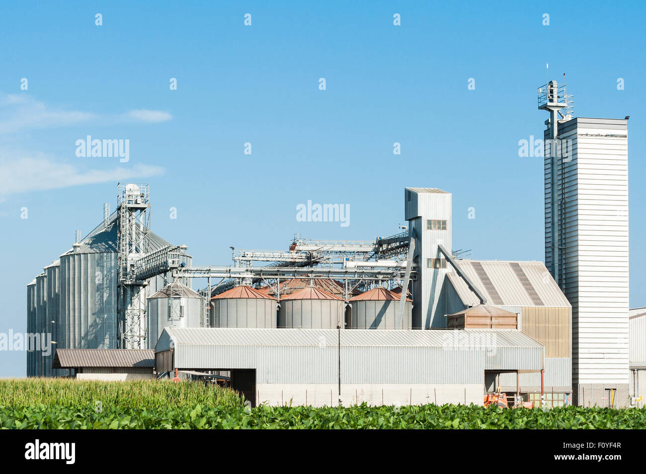 Cereals processing hi-res stock photography and images - Alamy