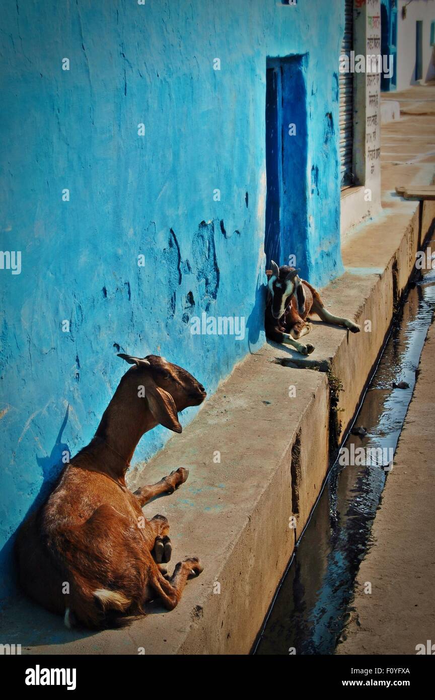 Gutters hi-res stock photography and images - Alamy