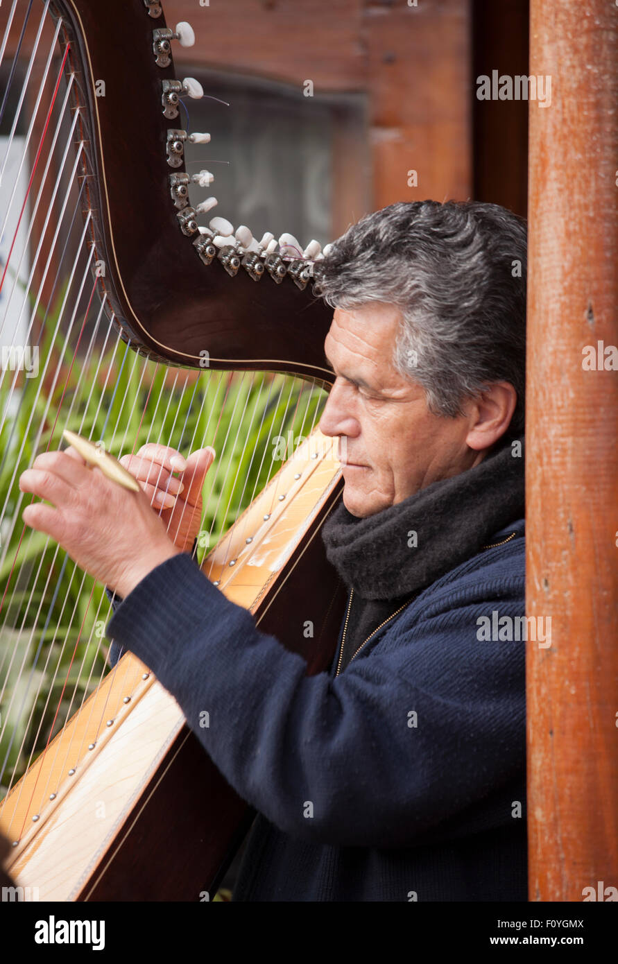 Harpist man hi-res stock photography and images - Alamy