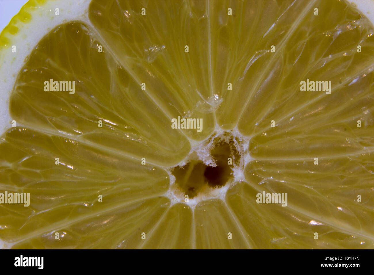 lemon close up Stock Photo - Alamy