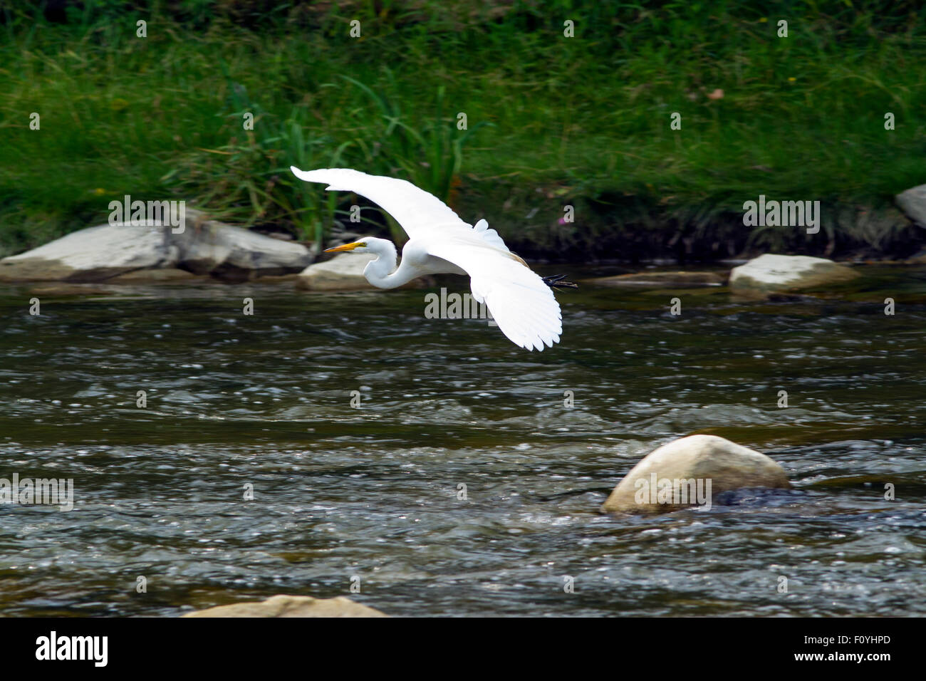 Flying river hi-res stock photography and images - Alamy