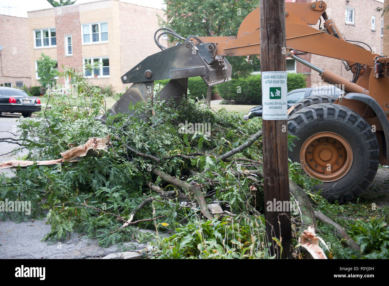 Emergency tree removal hi-res stock photography and images - Alamy