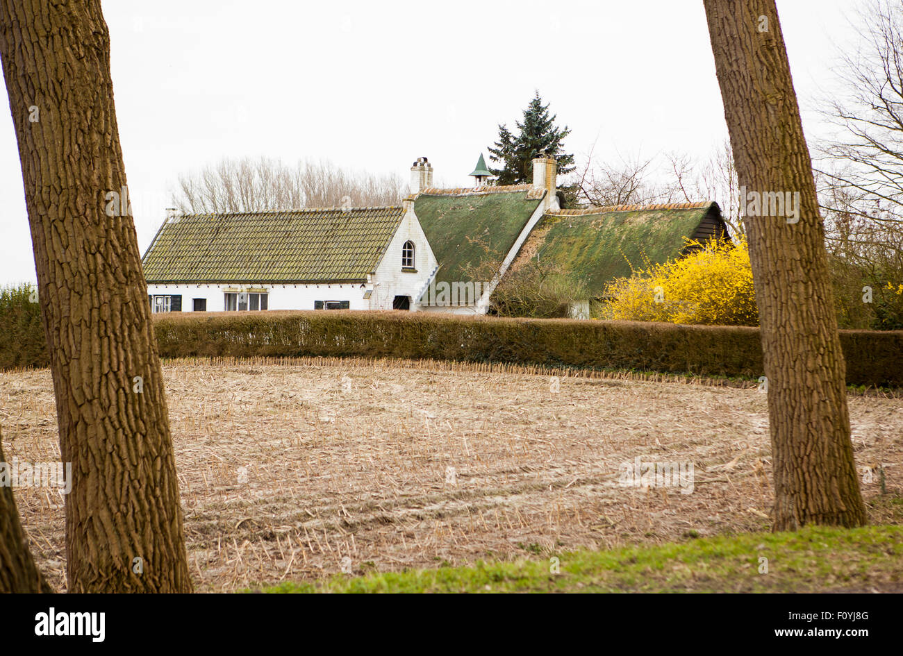 Farmhouse and farm near Damme, Belgium Stock Photo - Alamy