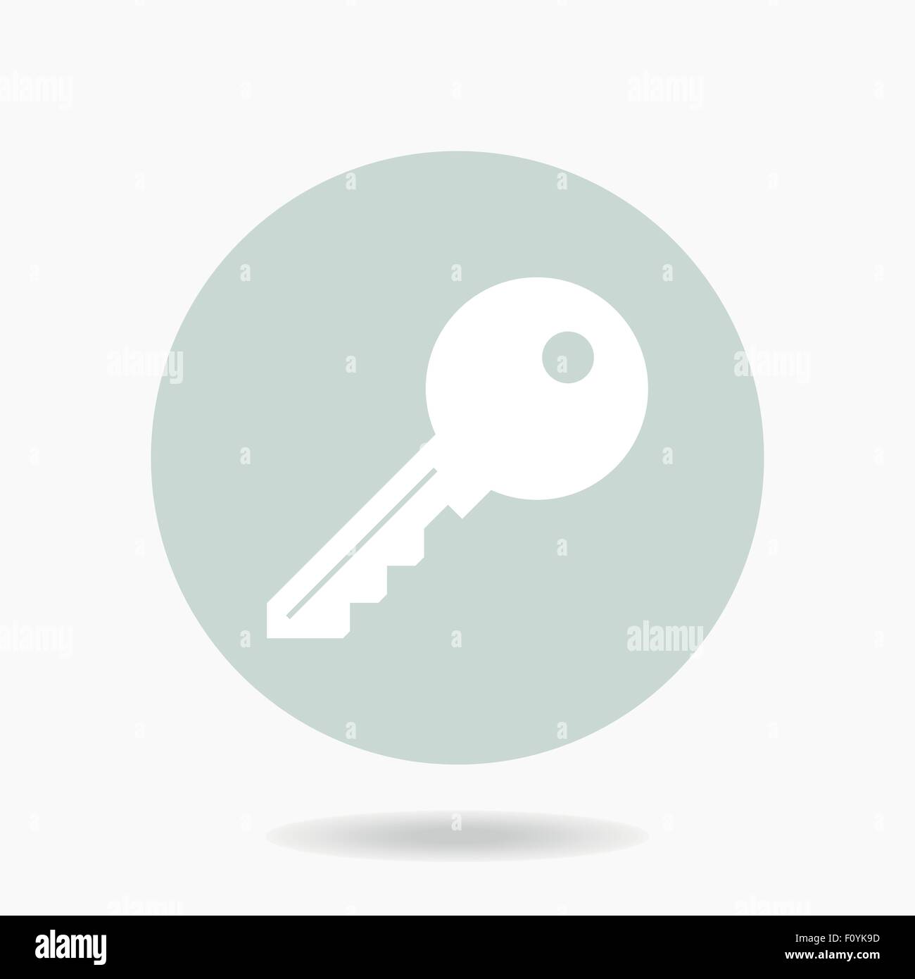 Fine Vector Key Flat Icon Stock Vector Image & Art - Alamy